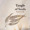Scott Cook - Tangle Of Souls (Album Review) — Red Guitar Music