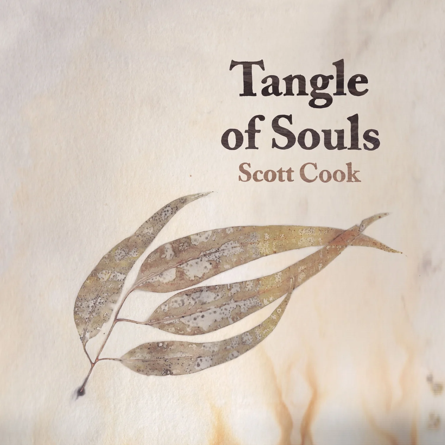Scott Cook - Tangle Of Souls (Album Review) — Red Guitar Music
