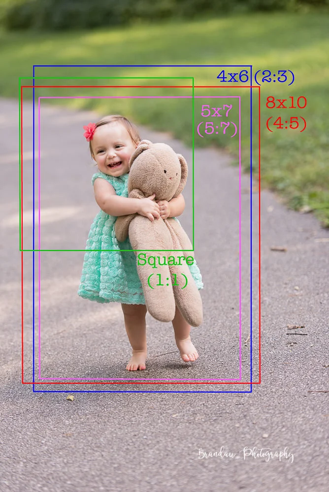 The Importance of Cropping Your Photos — Brandau Photography