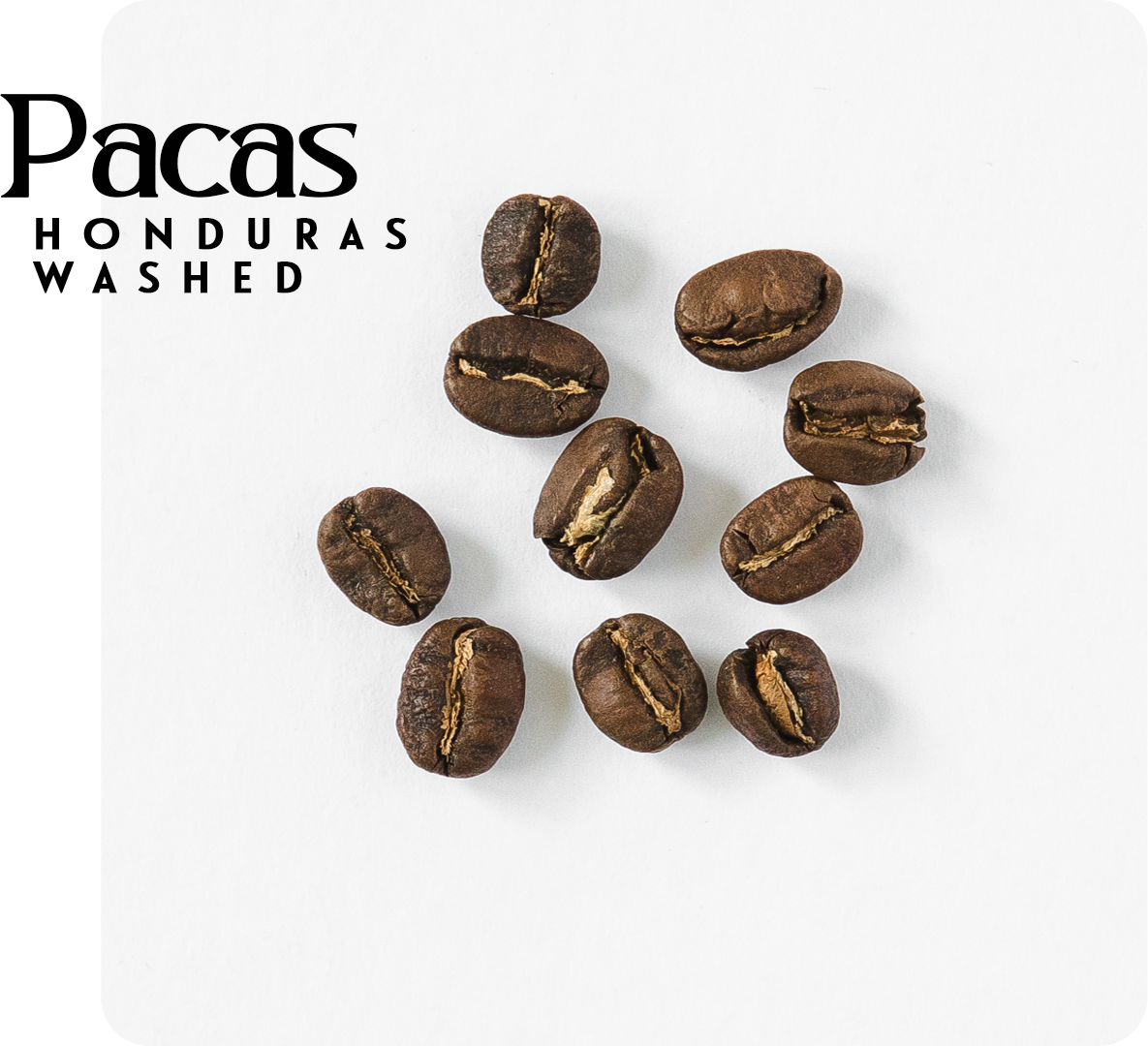 Pictures of Coffee Varities — Alexander Mills | Specialty Coffee Blog ...