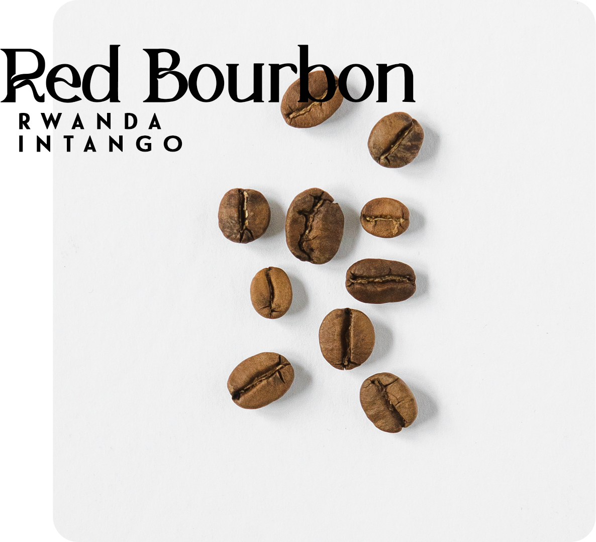 Pictures of Coffee Varities — Alexander Mills | Specialty Coffee Blog ...