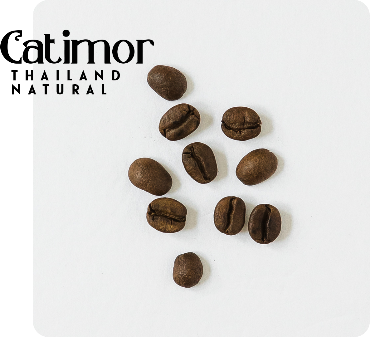Pictures of Coffee Varities — Alexander Mills | Specialty Coffee Blog ...