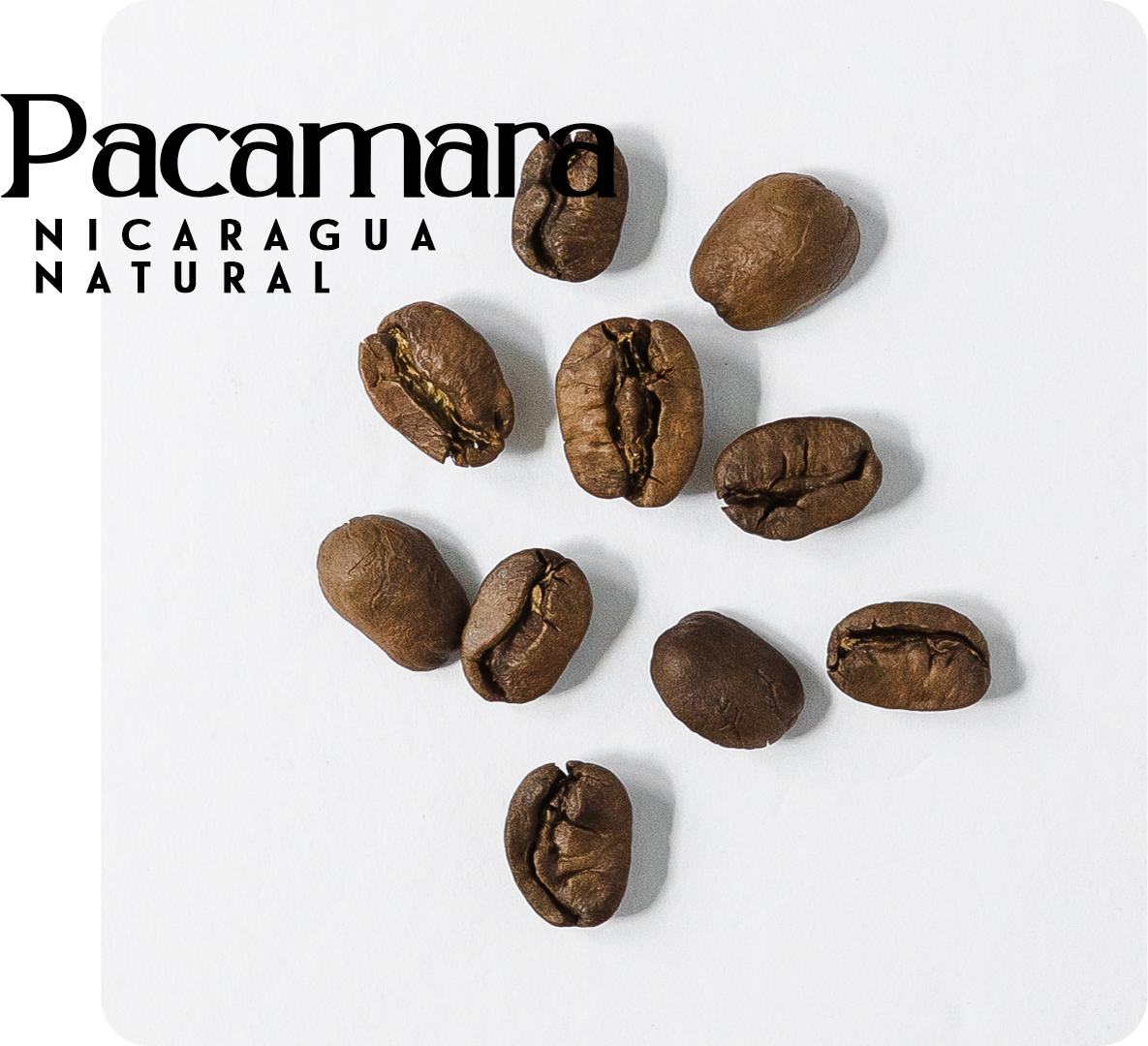 Pictures of Coffee Varities — Alexander Mills | Specialty Coffee Blog ...