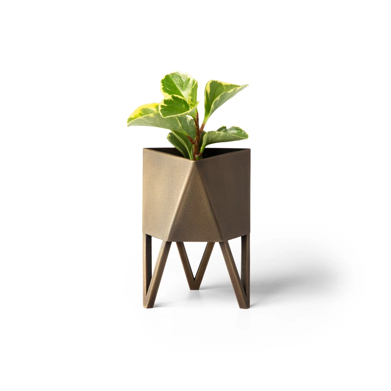 Deca Planters — Force/Collide