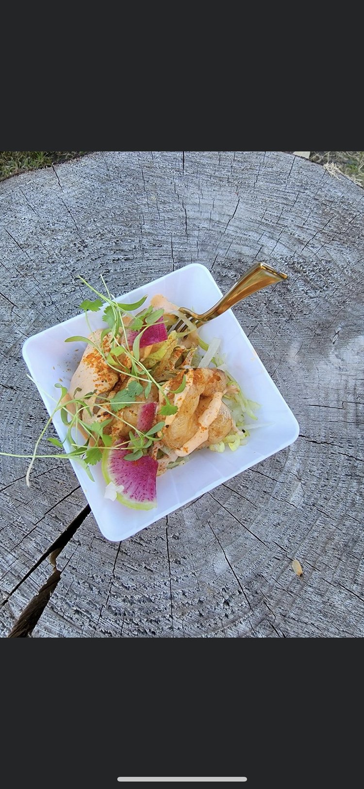 International - Meraki Cuisine — YYCFoodTrucks | Calgary Food Truck ...