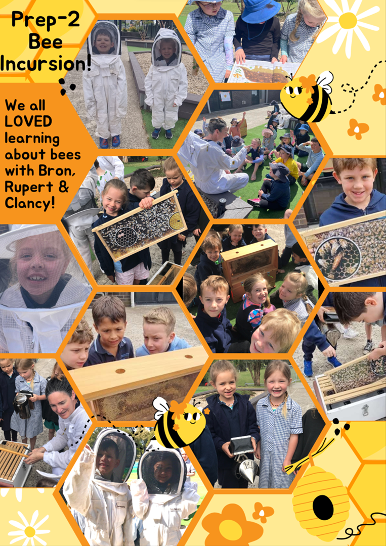 Kangaroo Ground Primary School