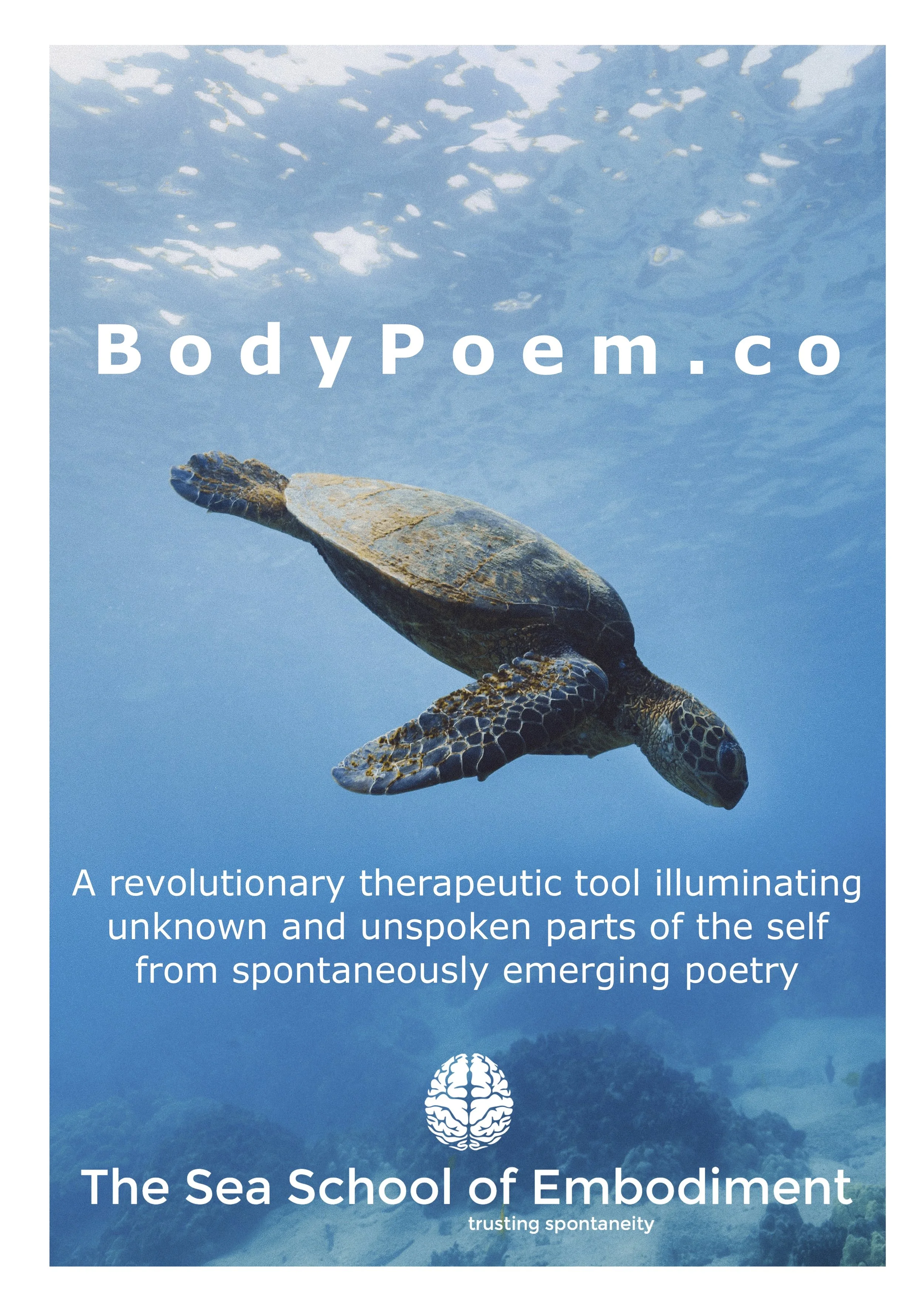 Embodiment Workshop & Trainings Calendar — The Sea School of Embodiment