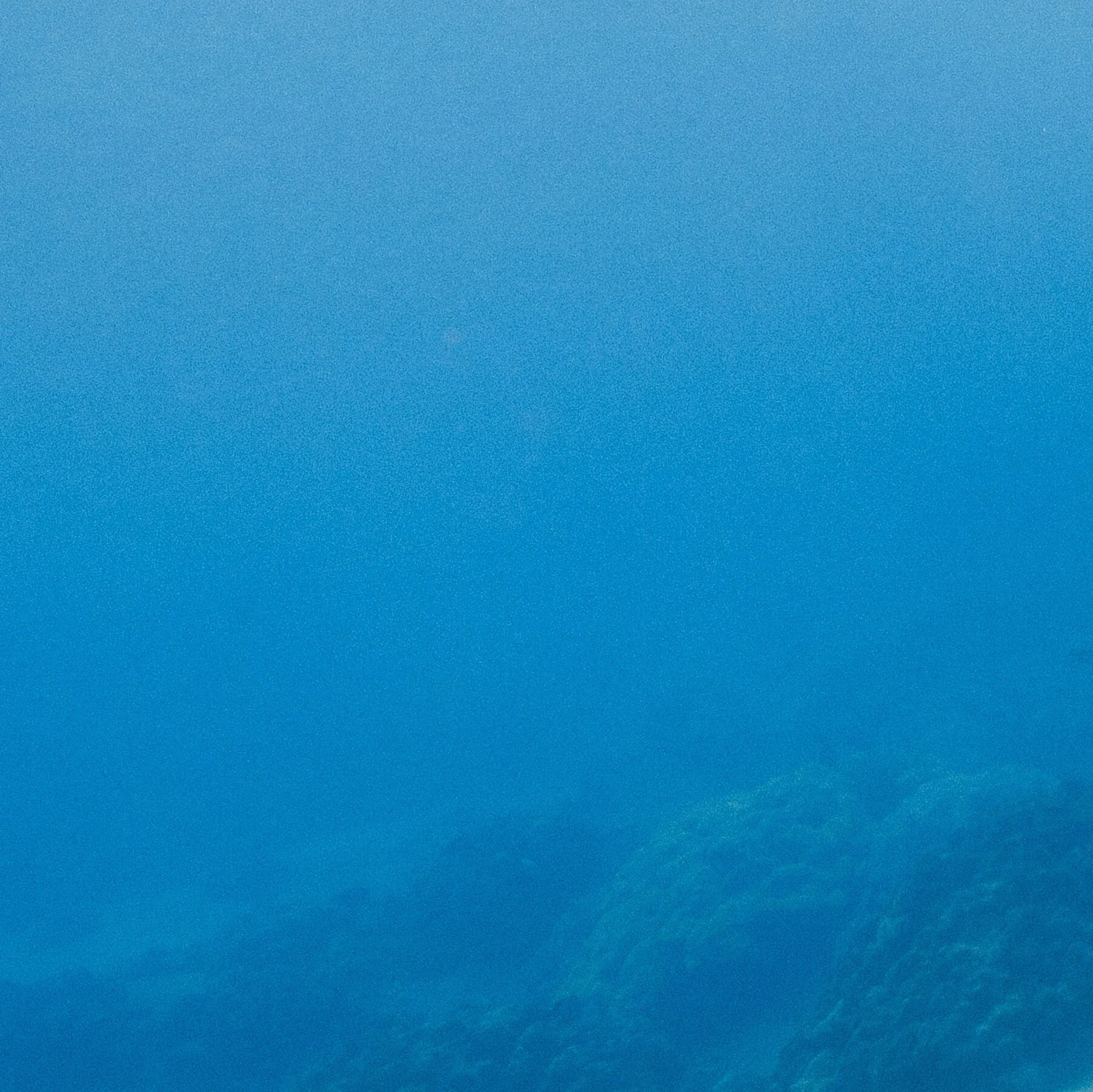 Embodiment Workshop & Trainings Calendar — The Sea School of Embodiment