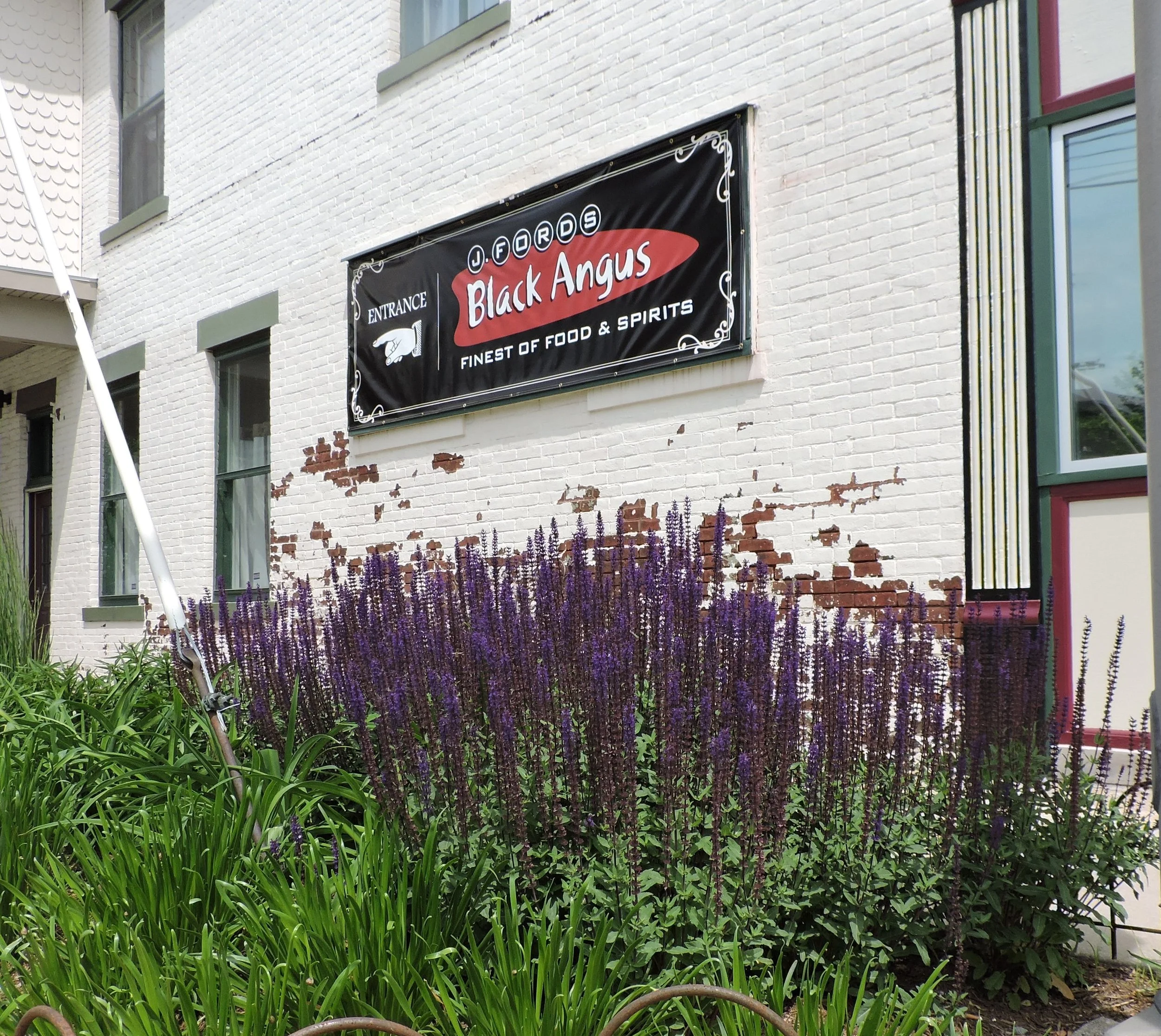 J. Ford's Black Angus