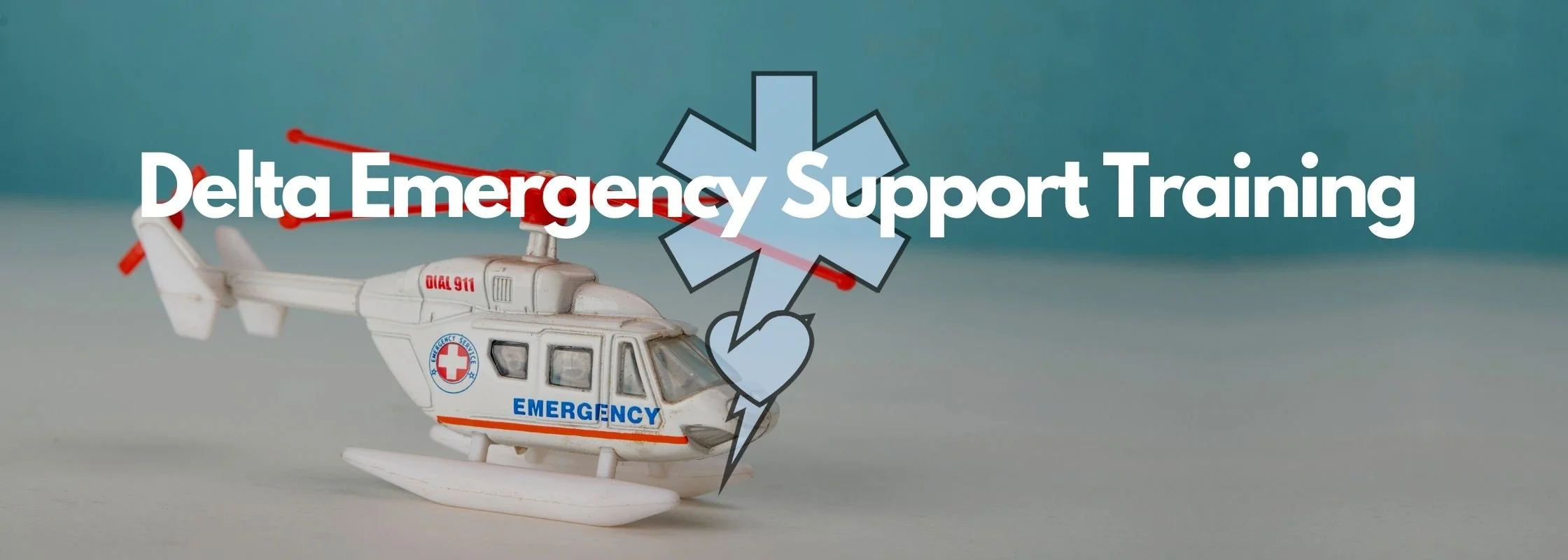 Red Cross Pocket Mask Requirements for 2021 and Beyond — Delta ...