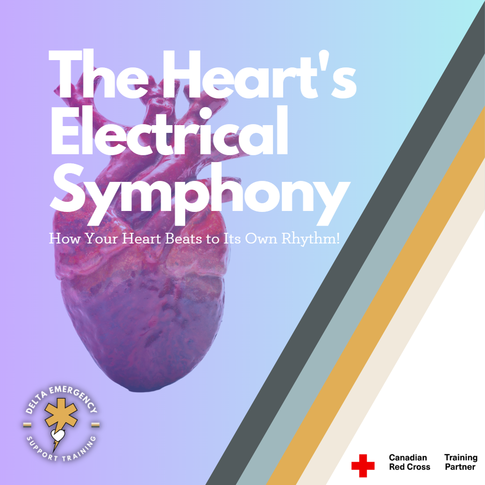 Cardiac — A blog about emergency medicine, the Canadian Red Cross ...