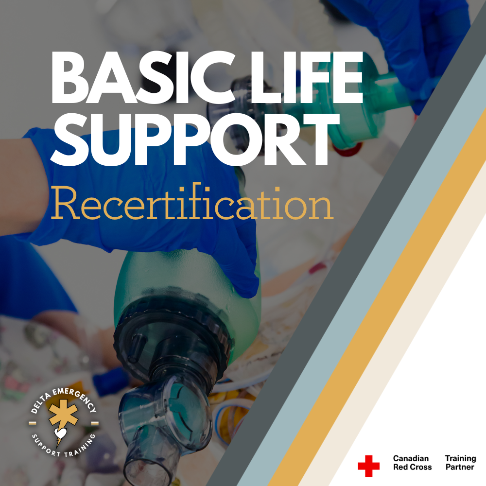 Essential BLS CPR for Healthcare Providers: Master Life-Saving ...