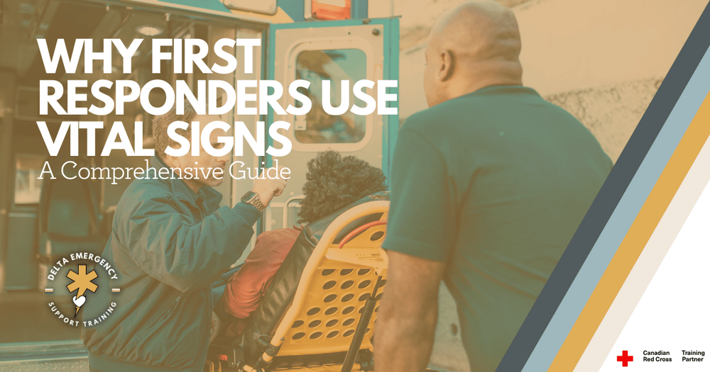 Understanding Vital Signs: What They Are, How to Take Them, and Why ...