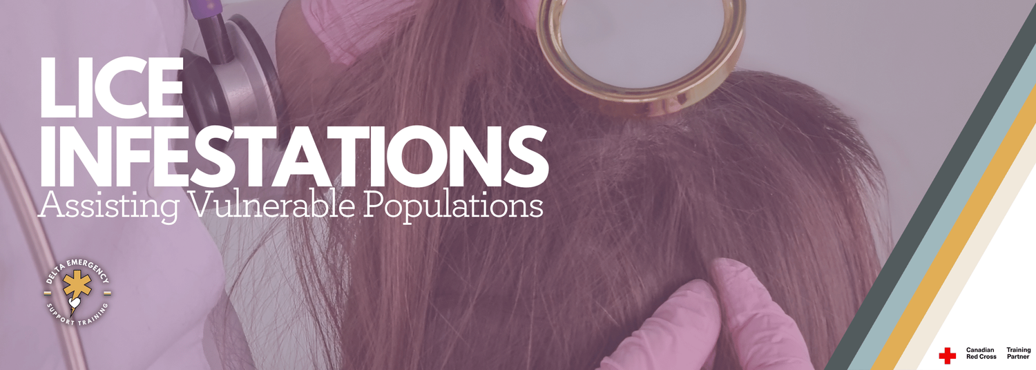 Lice Infestations: Guide for First Responders with a Focus on Vulnerable Populations — Delta ...