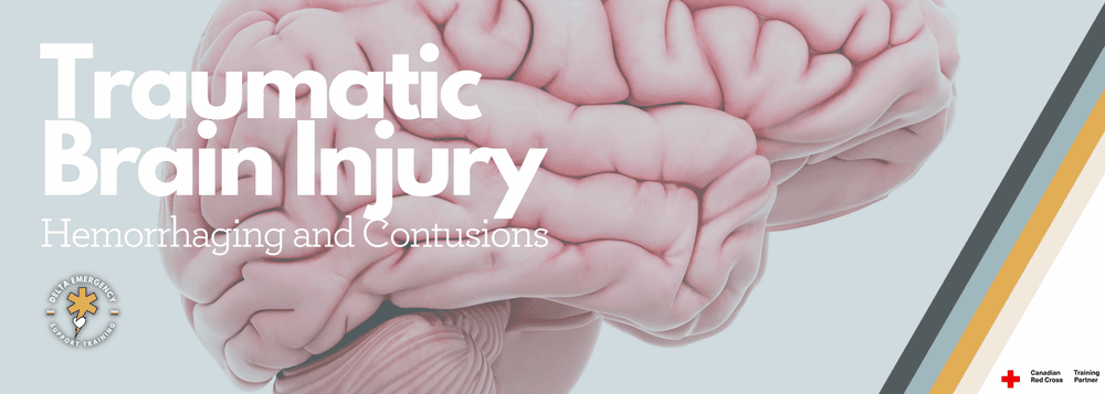 Understanding Traumatic Brain Injury: Hemorrhaging, Contusions, and ...