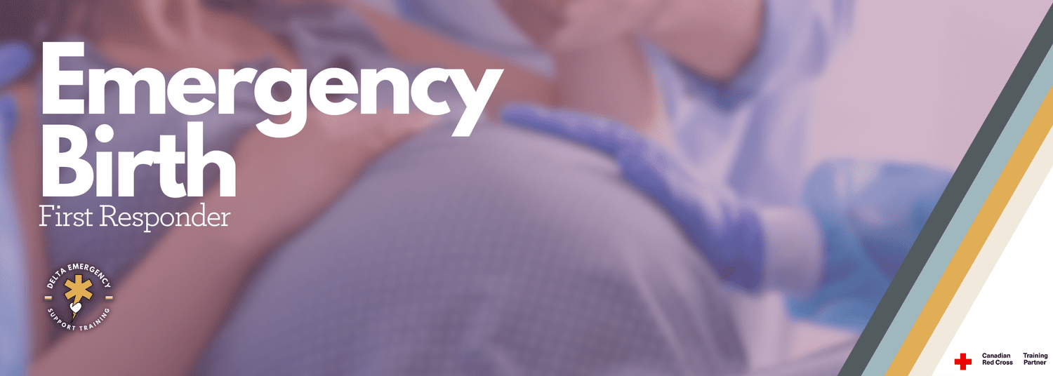 Emergency Birth as a First Responder: Preparing and Assisting in ...