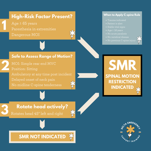 Spinal Motion Restriction — Delta Emergency Support Training