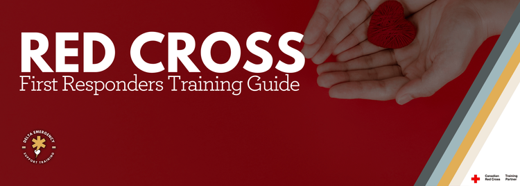 Everything You Need to Know About Red Cross Training for First ...