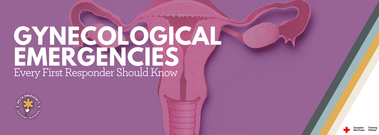 Gynecological Medical Emergencies: Essential Knowledge for First ...