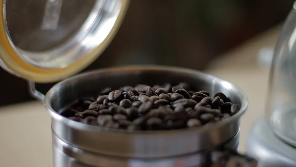 Memory Colors — Prolost