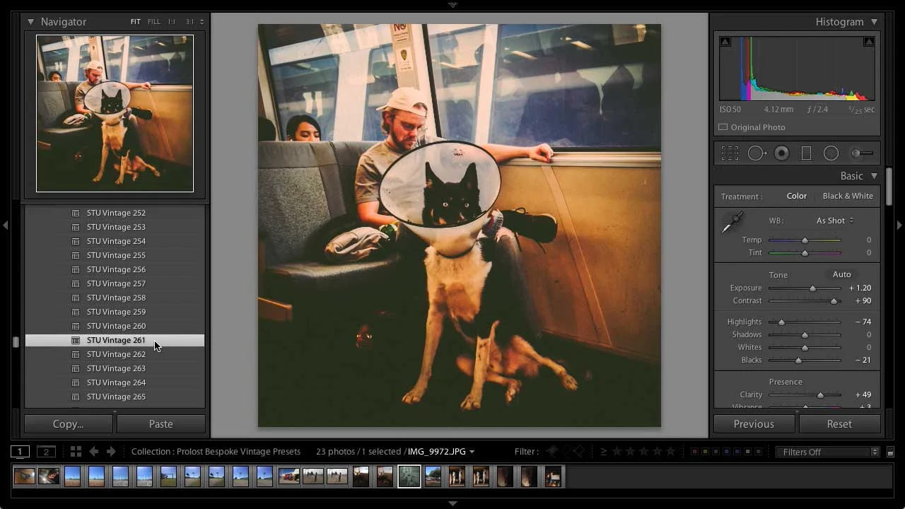 Prolost Light Leaks for Lightroom — Prolost