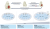 Tyler's review is out now!! — Elrod Lab of Molecular Medicine