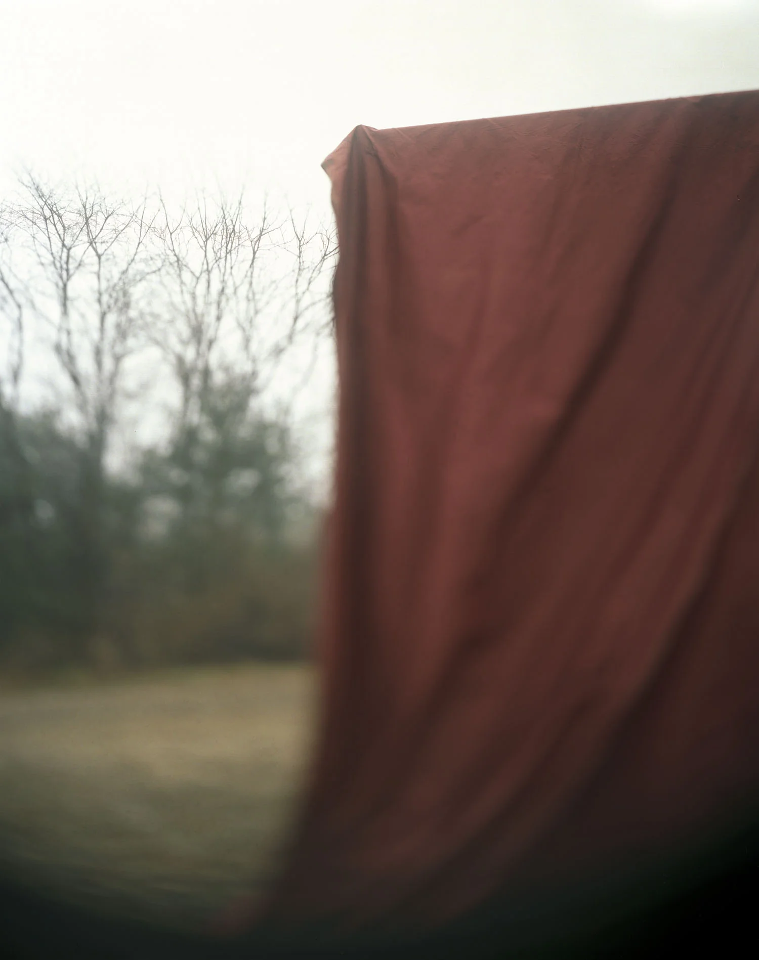 ghost portraits — LYDIA PANAS