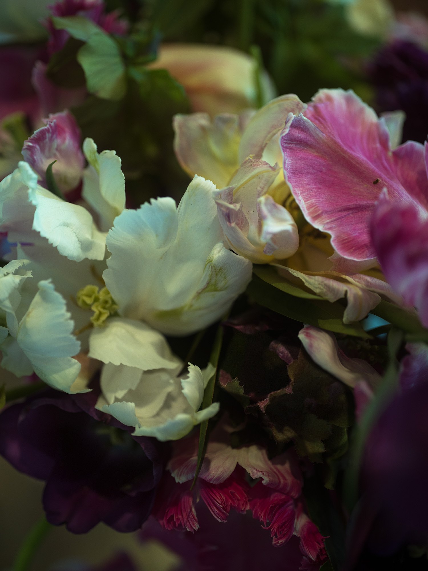 this is pleasure — LYDIA PANAS