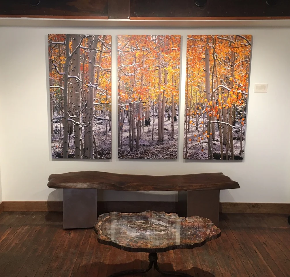Galleries — Telluride Arts District