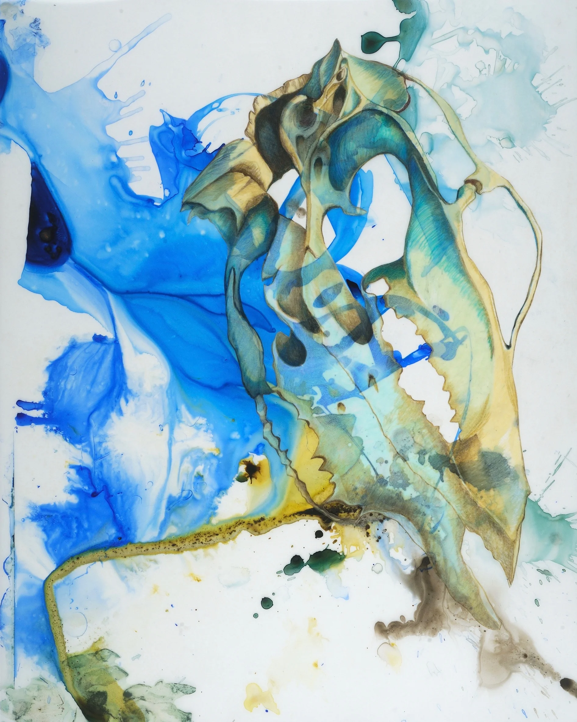 Telluride Arts Exhibits — Telluride Arts