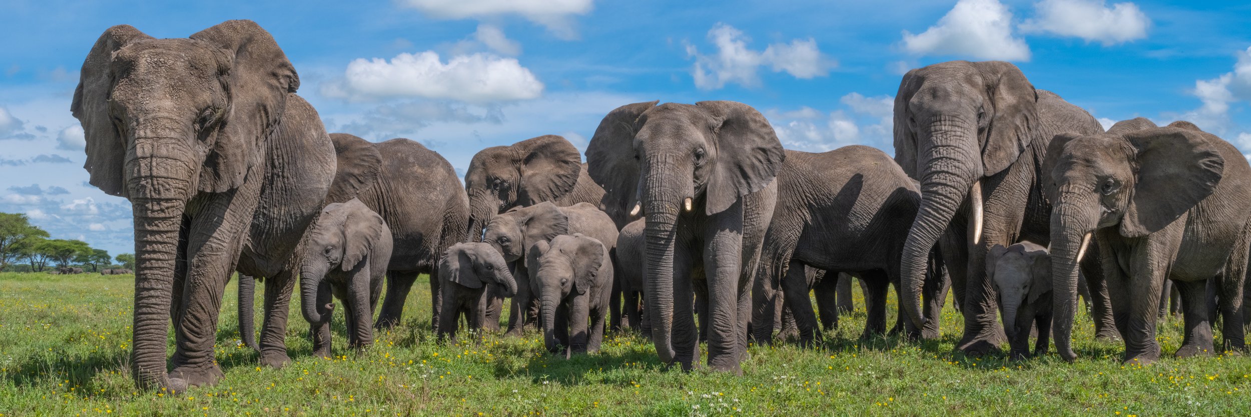 TELLURIDE ART WALK — Telluride Arts District