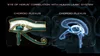 Eye of Horus and the Brain - New Discoveries — Magical Egypt