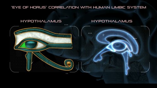 Eye of Horus and the Brain - New Discoveries — Magical Egypt