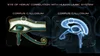 Eye of Horus and the Brain - New Discoveries — Magical Egypt