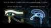 Eye of Horus and the Brain - New Discoveries — Magical Egypt