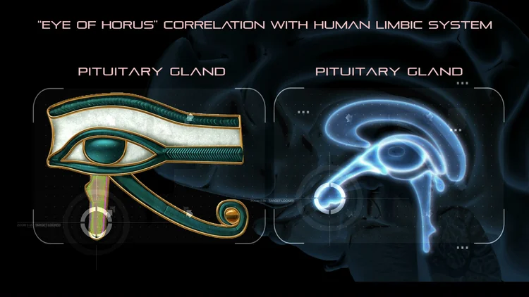 Eye of Horus and the Brain - New Discoveries — Magical Egypt
