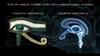 Eye of Horus and the Brain - New Discoveries — Magical Egypt