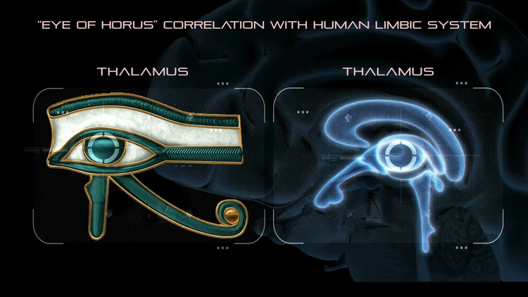 Eye of Horus and the Brain - New Discoveries — Magical Egypt