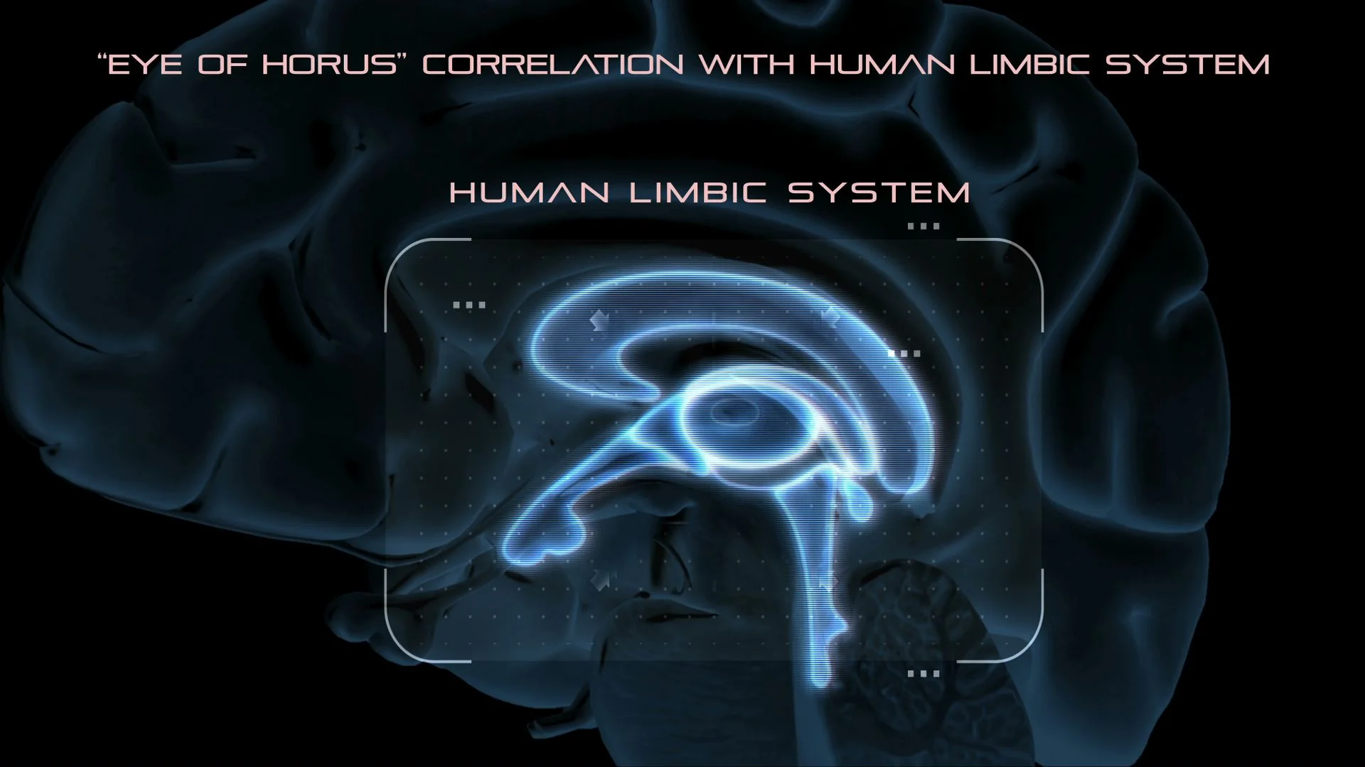 Eye of Horus and the Brain - New Discoveries — Magical Egypt