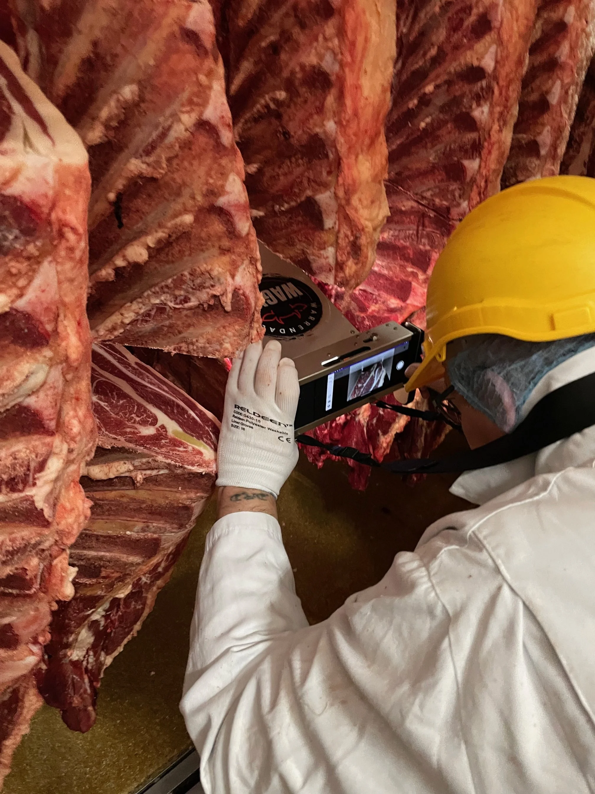 British Wagyu Breeders Association | British Wagyu Beef