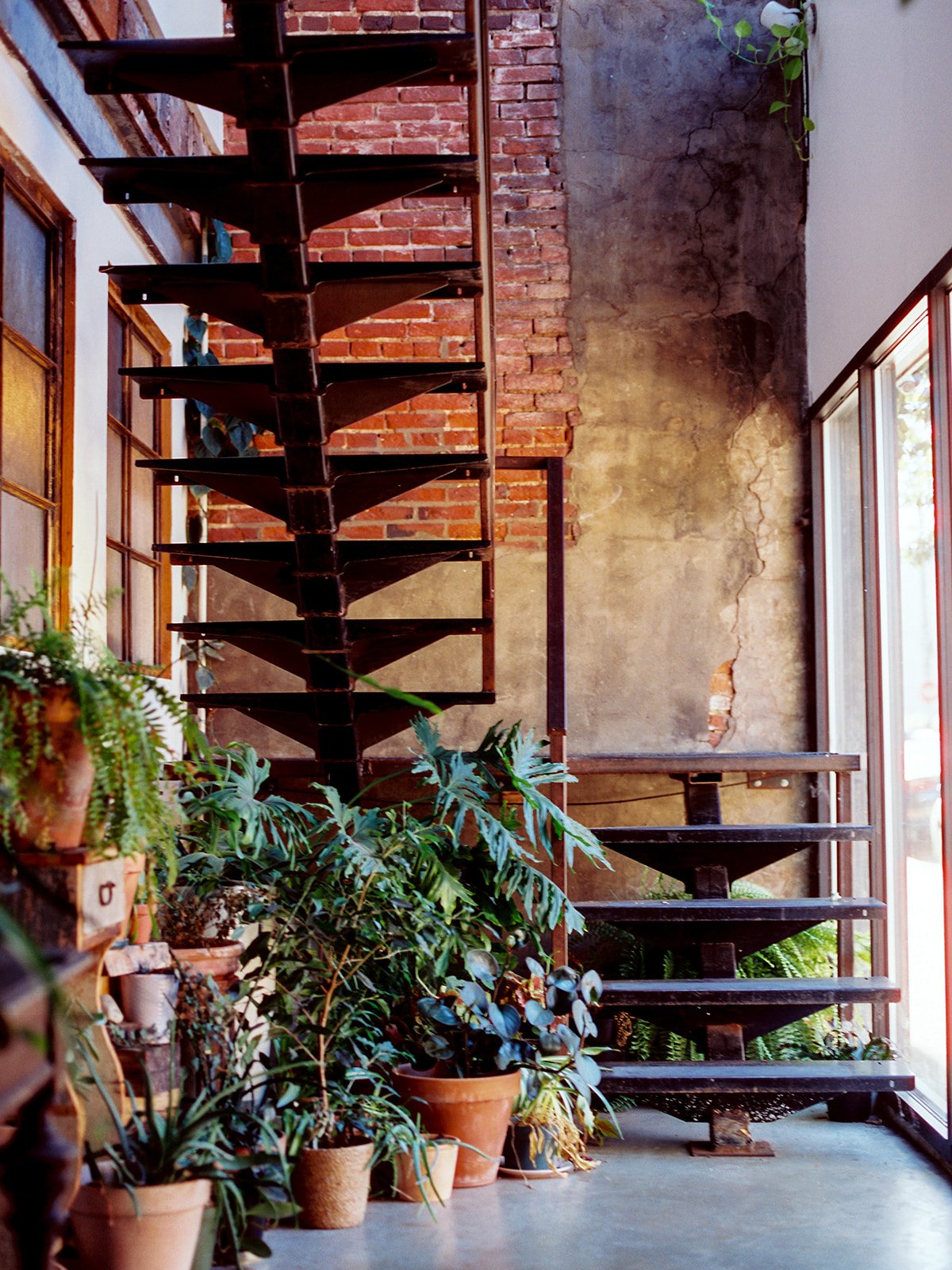 About MAAS — MAAS Building