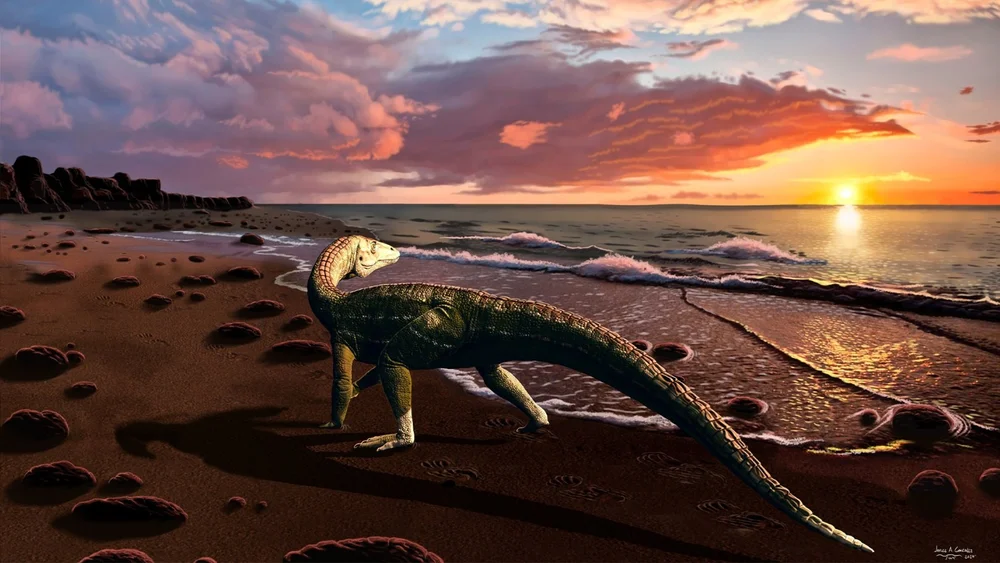 Early Croc Cousin Walked on Two Legs Across Ancient Beaches — Riley Black