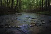 Thomas Farm Preserve | Watkinsville's 100-Acre Public Park — SPG