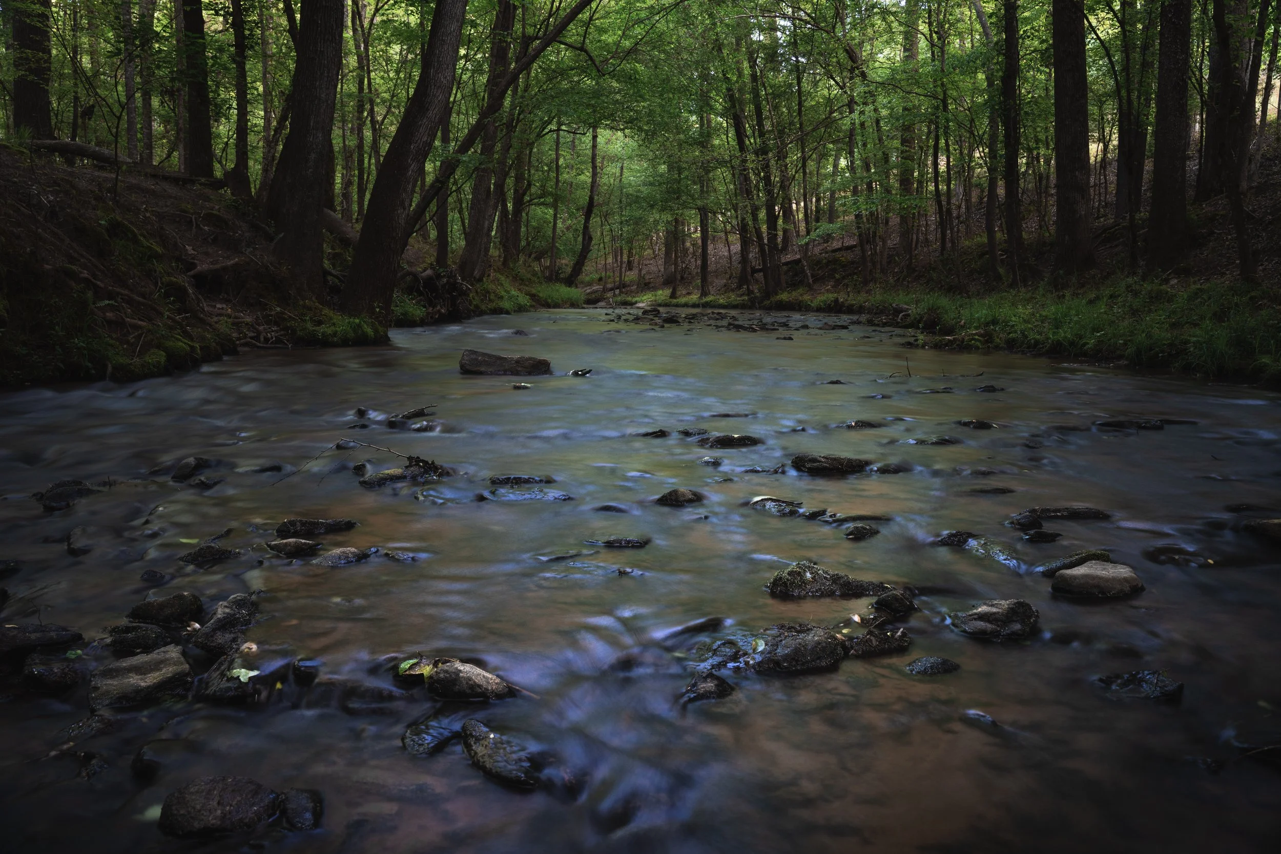 Thomas Farm Preserve | Watkinsville's 100-Acre Public Park — SPG