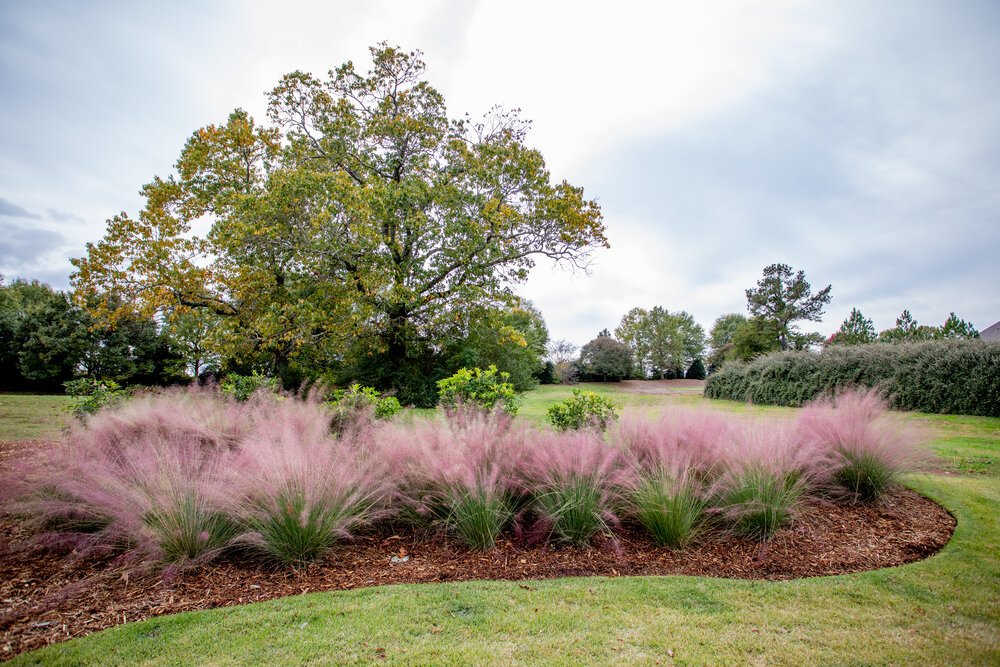 SPG | Engineering & Design | Athens, GA