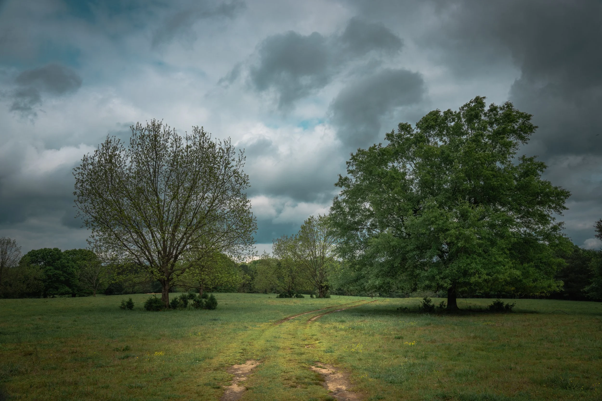 Thomas Farm Preserve