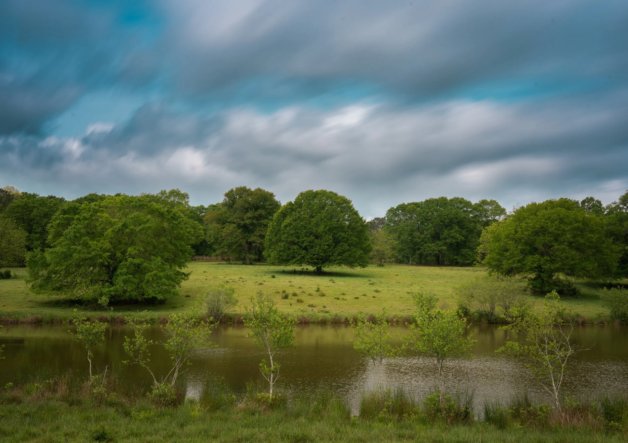 Thomas Farm Preserve