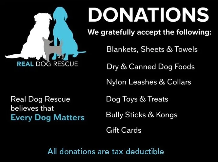 Donate — Real Dog Rescue, Inc.
