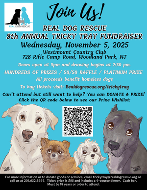 Real Dog Rescue, Inc.