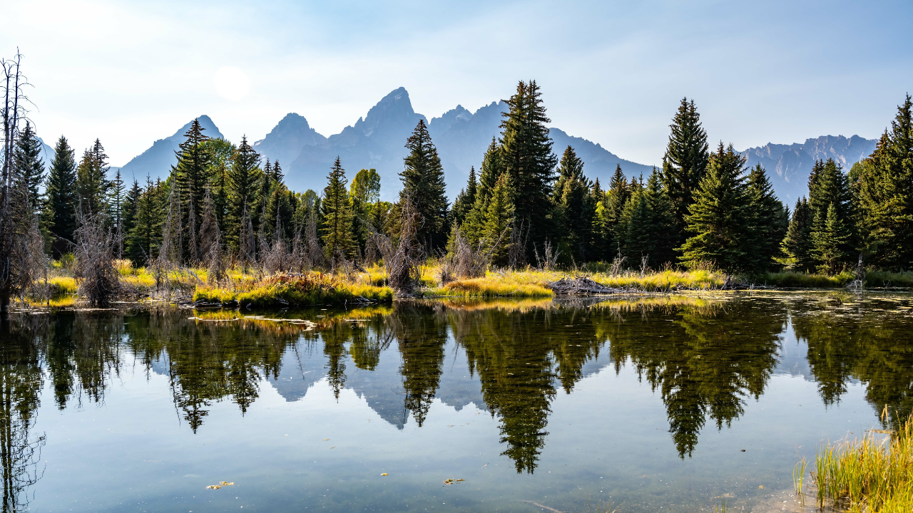 Colorado Watershed Assembly